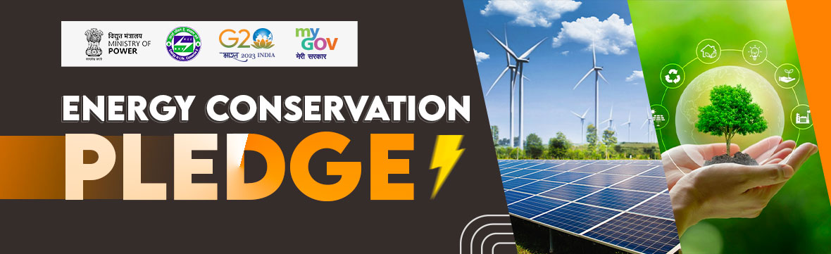 Energy Conservation Pledge